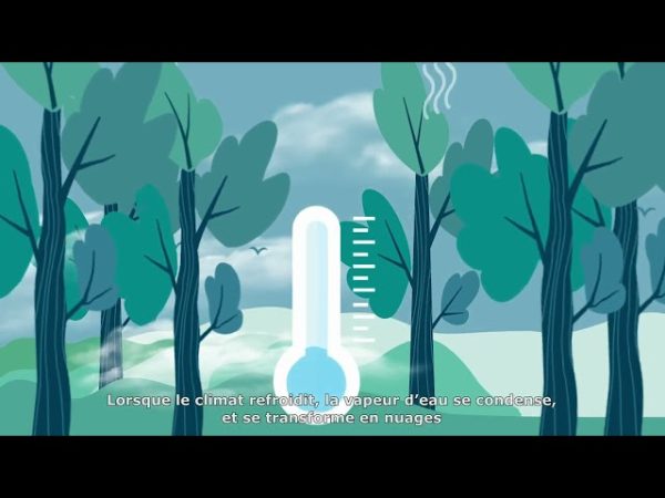 The Water Cycle in Lebanon - Video by CEEDD and USAID under the LWP ...